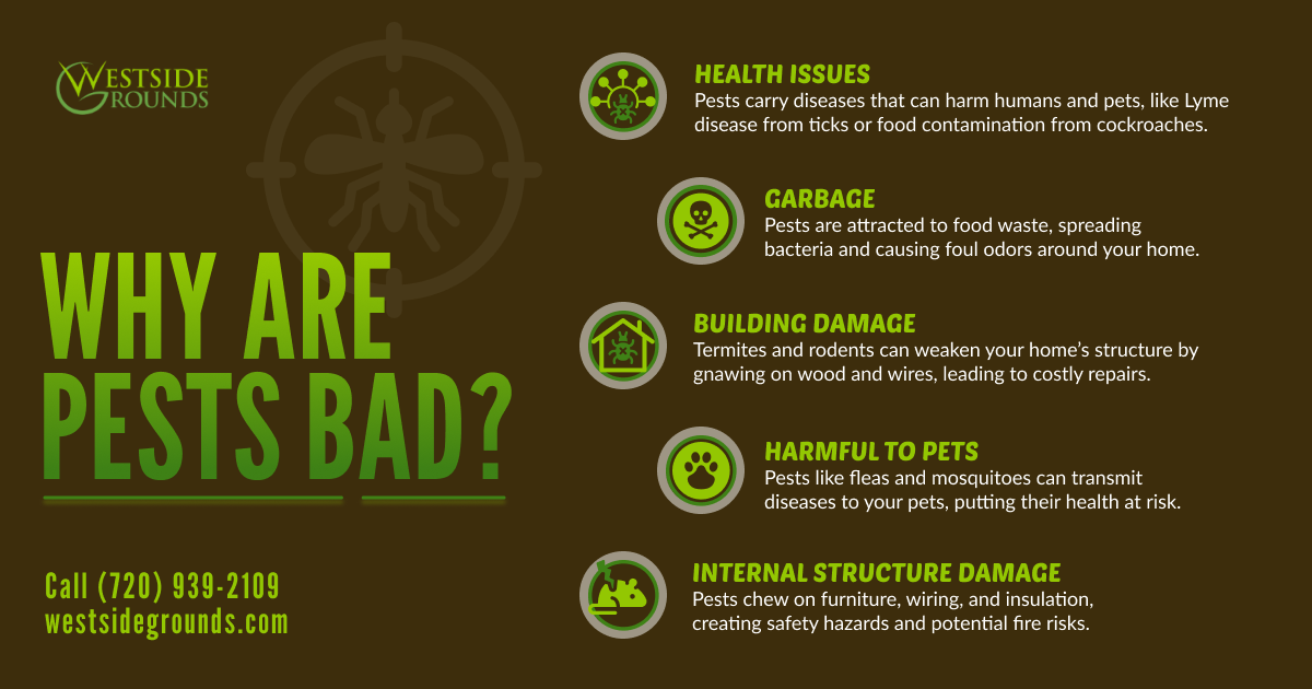 Pest Control Lakewood CO | Westside Grounds | Since 1999